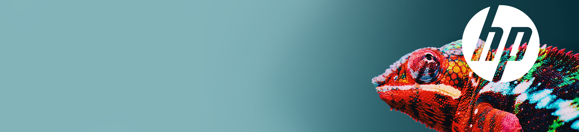 HP Black - HP Original Ink - HP Industrial Ink